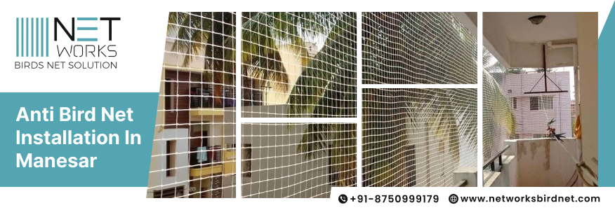 Anti Bird Net Installation in Manesar - Networks Bird Net