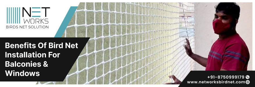 Benefits of Bird Net Installation for Balconies & Windows