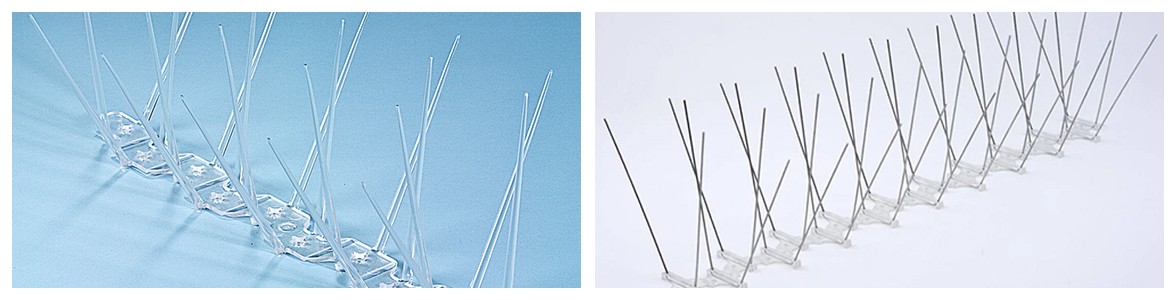 Bird Spikes installation | Networks Bird Net