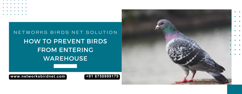 How to Keep Birds Out of Warehouse | Bird Control Tips