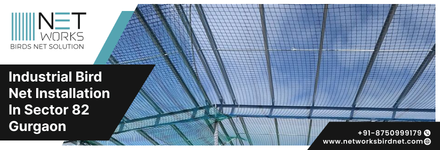 Industrial Bird Net Installation in Sector 82 Gurgaon