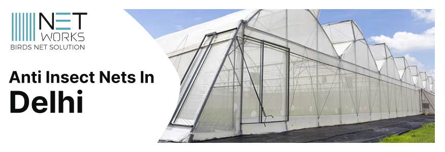 Buy Anti Insect Net In Delhi | Networks Bird Net